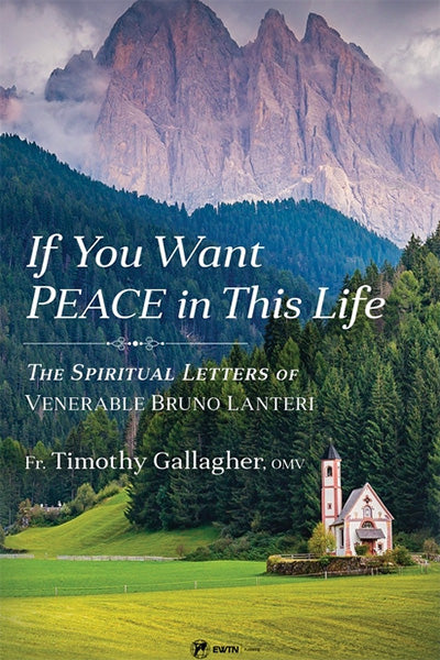 If You Want Peace in This Life by Fr Timothy Gallagher — Tumblar House ...